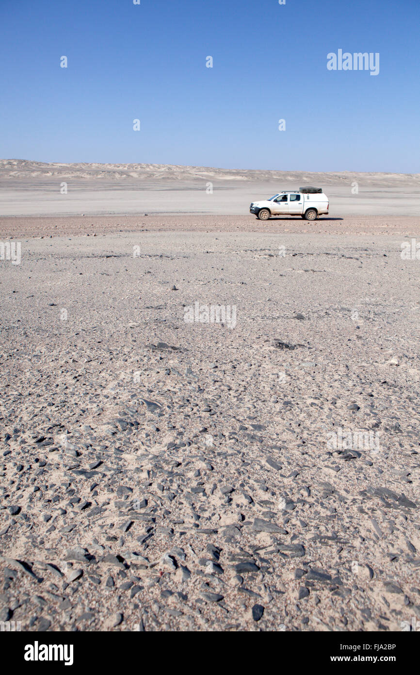Skeleton coast hi-res stock photography and images - Alamy