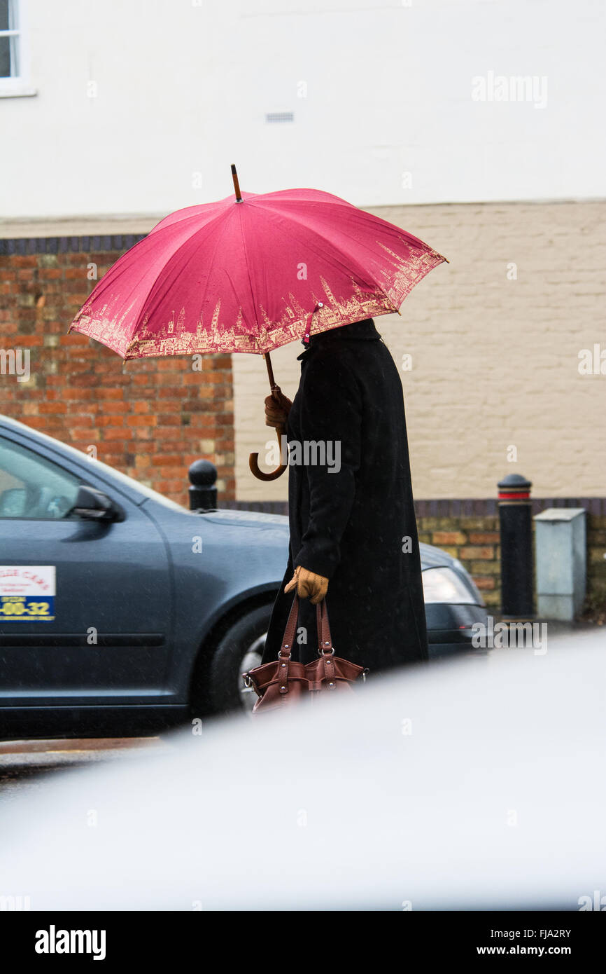 Woman with pink umbrella in the rain with cars passing by in Bedford ...