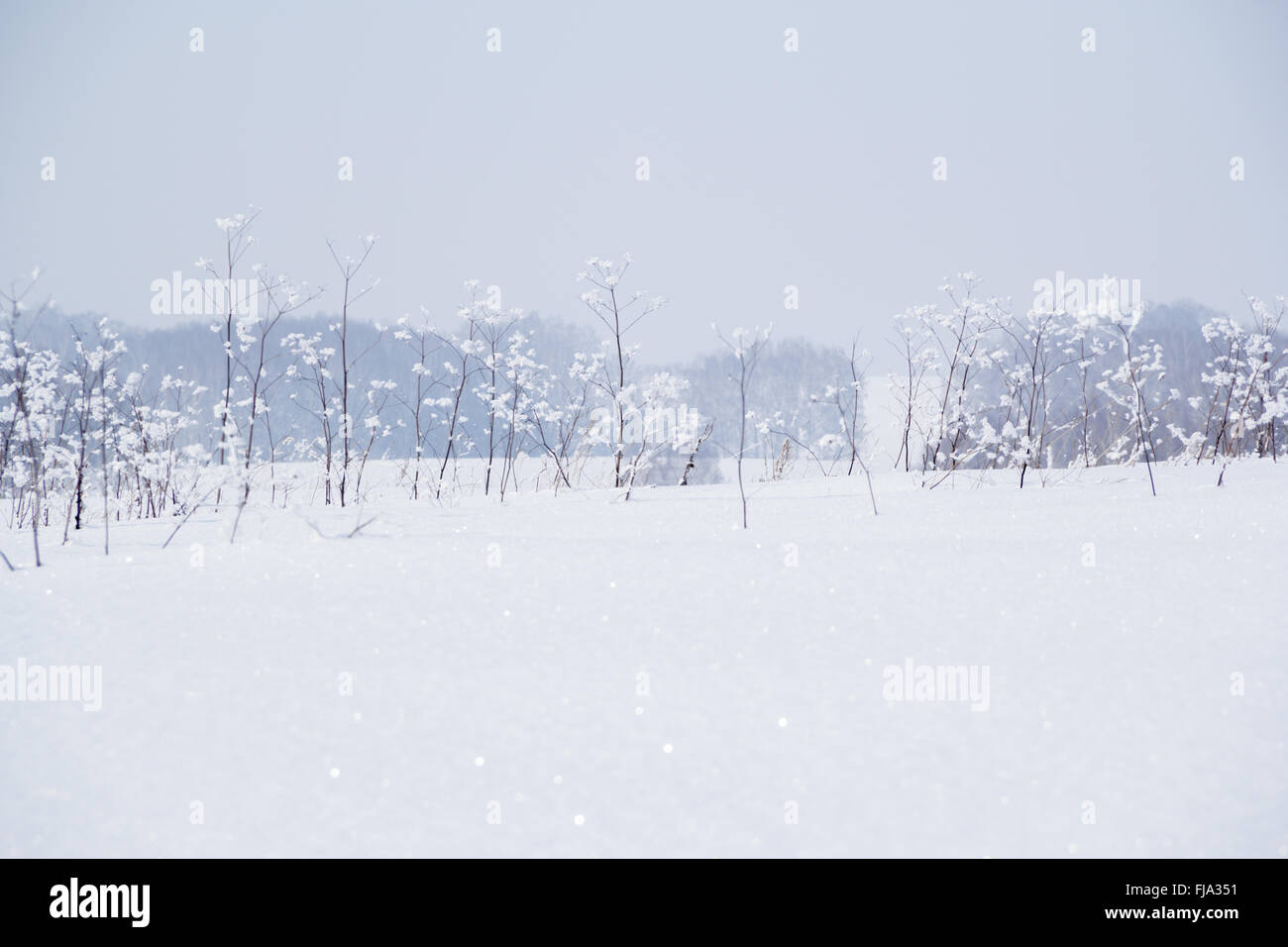 Beautiful winter landscape Stock Photo - Alamy