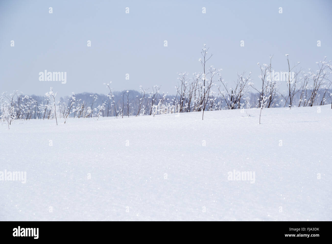 Beautiful winter landscape Stock Photo - Alamy