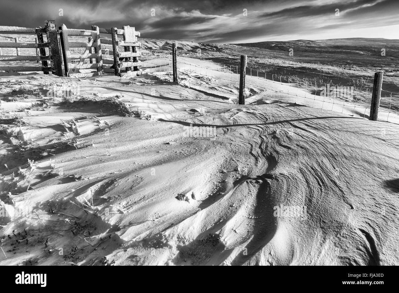 Monochrome image of wind blown and sculpted snow next to a fence high ...