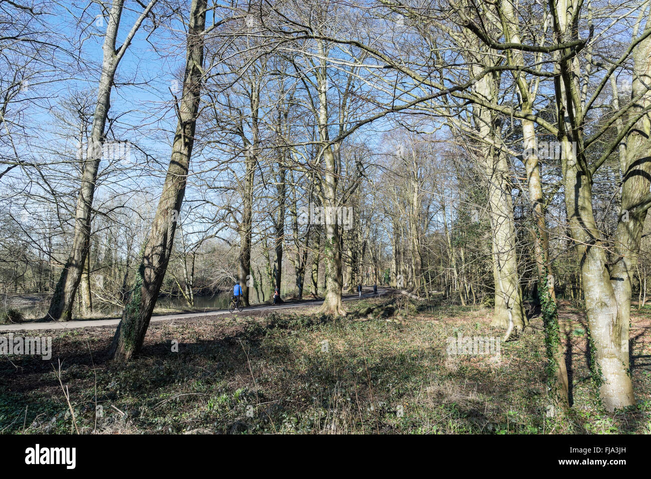 Taff trail hi-res stock photography and images - Alamy