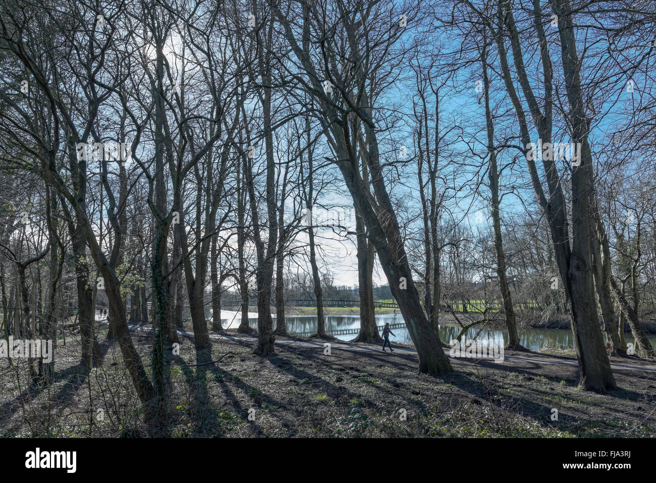 Young woman striding along the Taff Trail, nest to the River Taff ...
