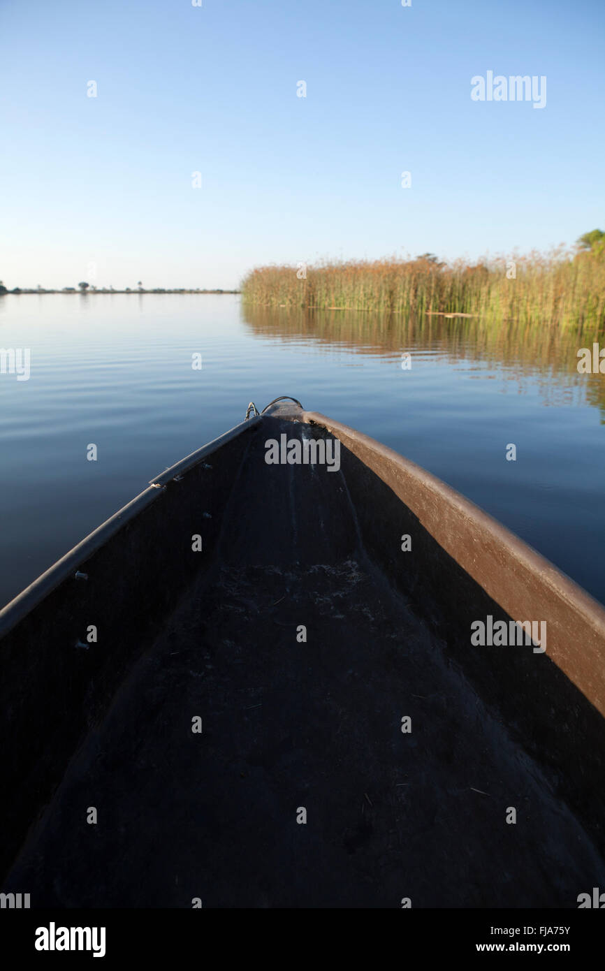 Okavango hi-res stock photography and images - Alamy