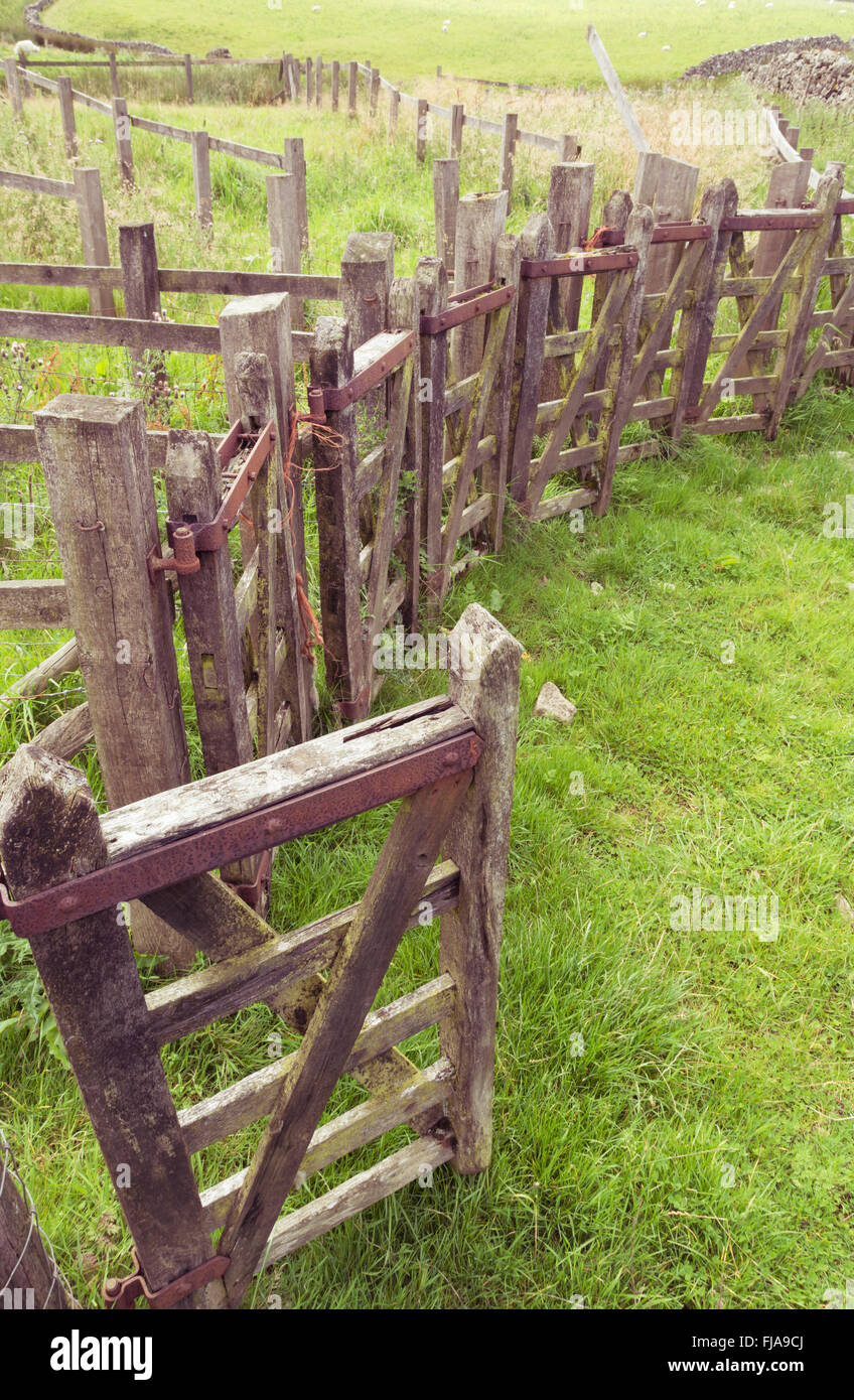 Sheep Pen Gate