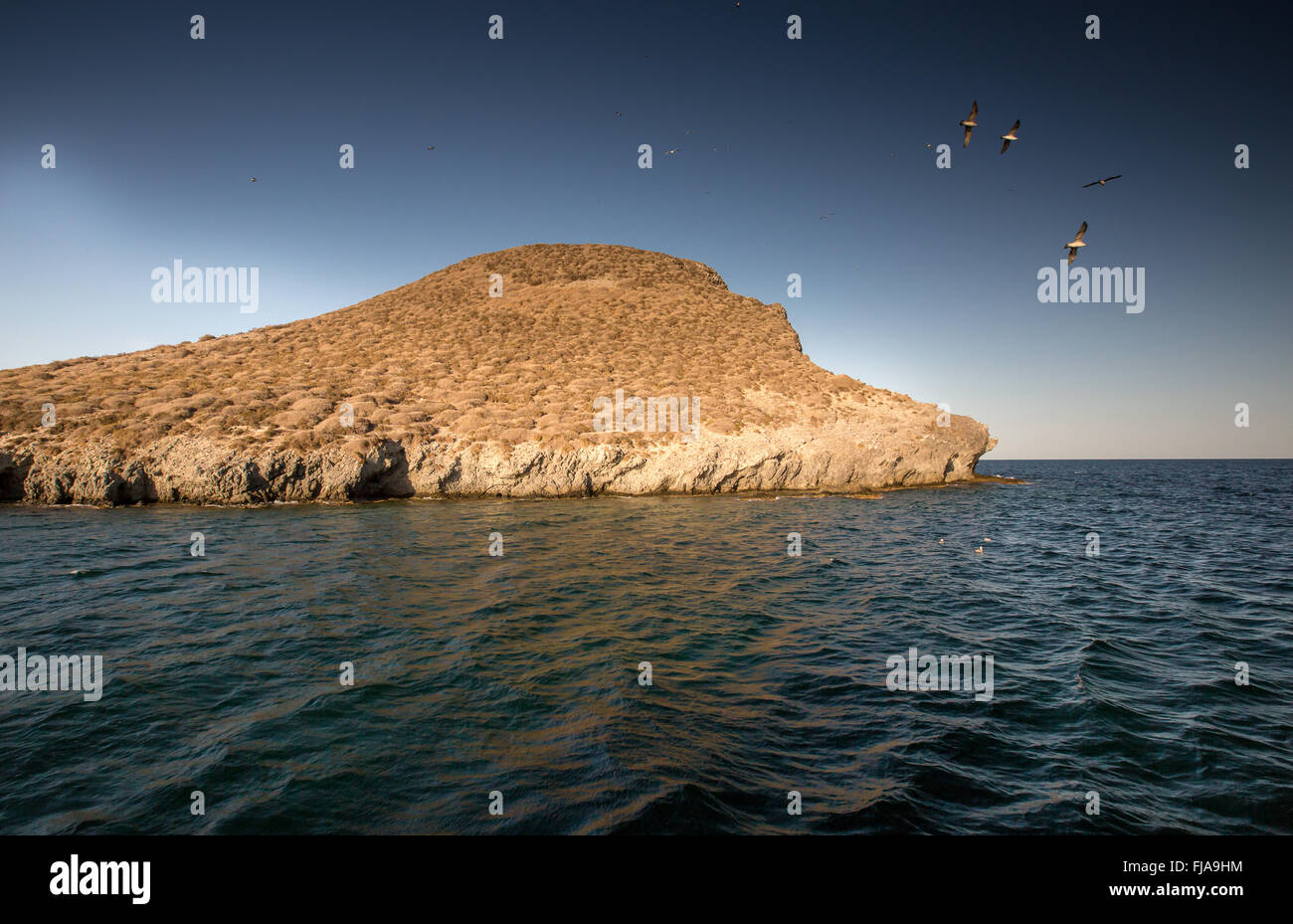 Isla Grosa - Spanish island near La Manga Stock Photo - Alamy