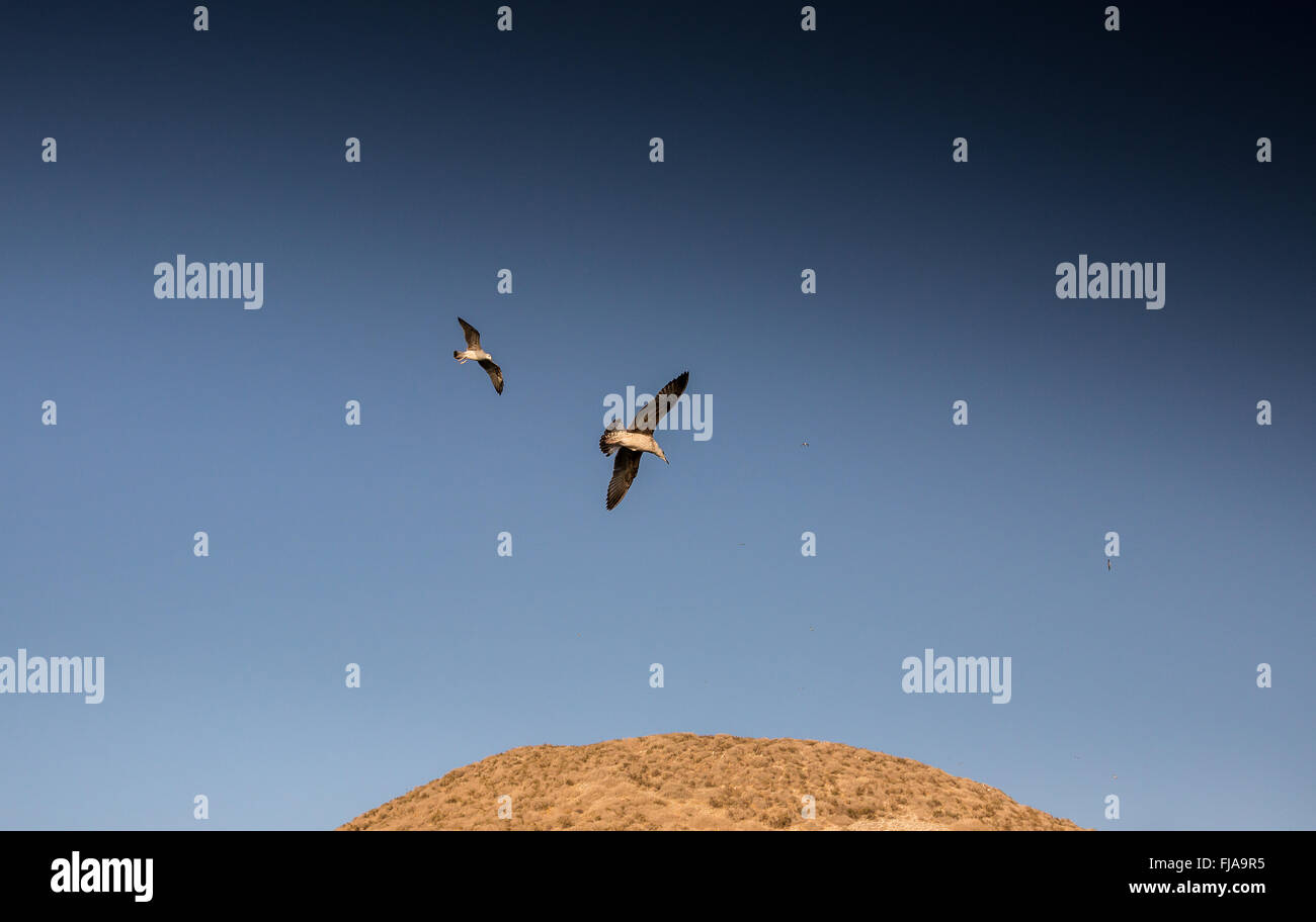 Isla Grosa - Spanish island near La Manga Stock Photo - Alamy