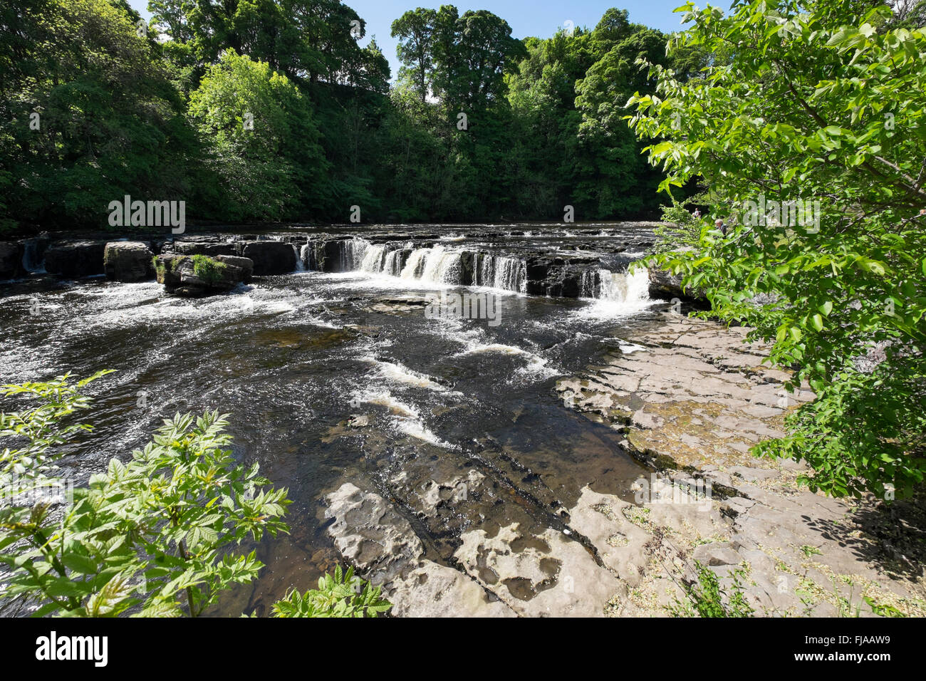 Falls aysgarth hi-res stock photography and images - Alamy