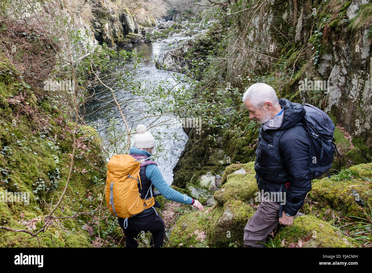 Hikers walking down rocky path into Lledr Gorge in Snowdonia National ...