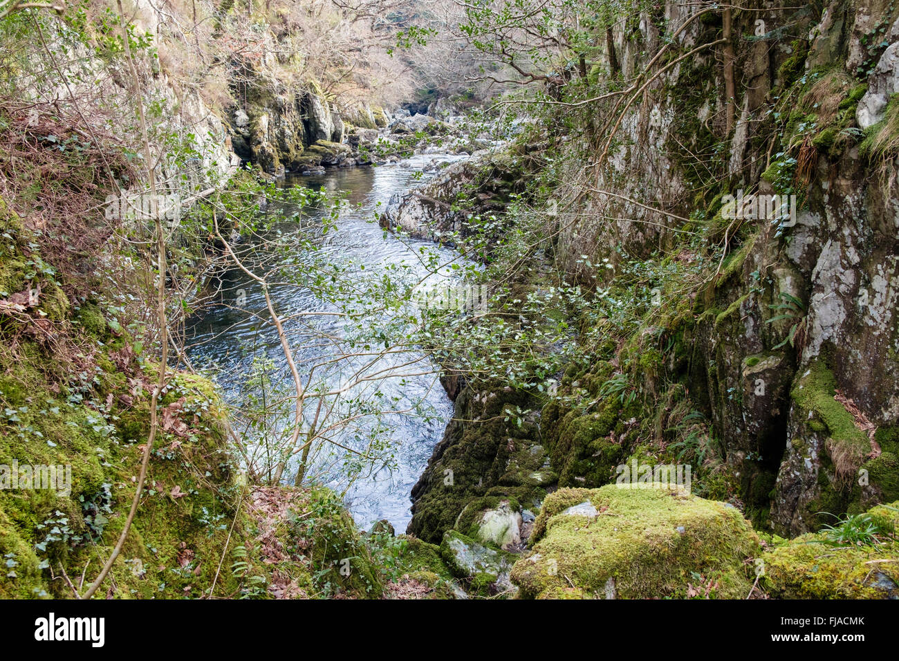 Looking down into Lledr River Gorge in Snowdonia National Park near ...