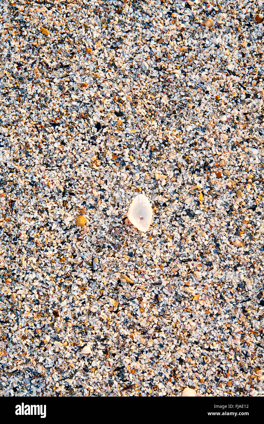 Beach sand made of broken shells Stock Photo - Alamy