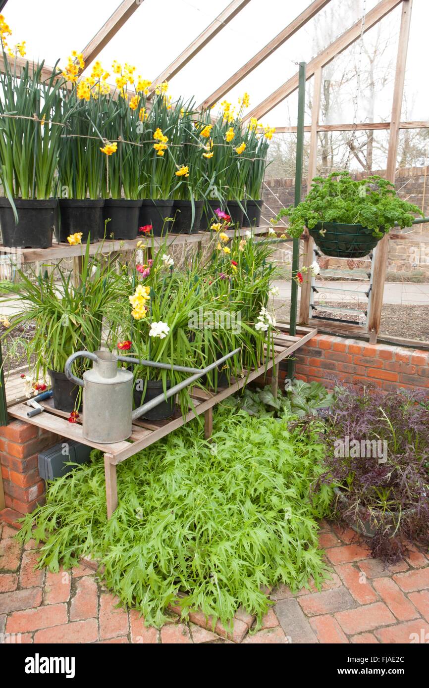 Long handle garden hand hi-res stock photography and images - Alamy