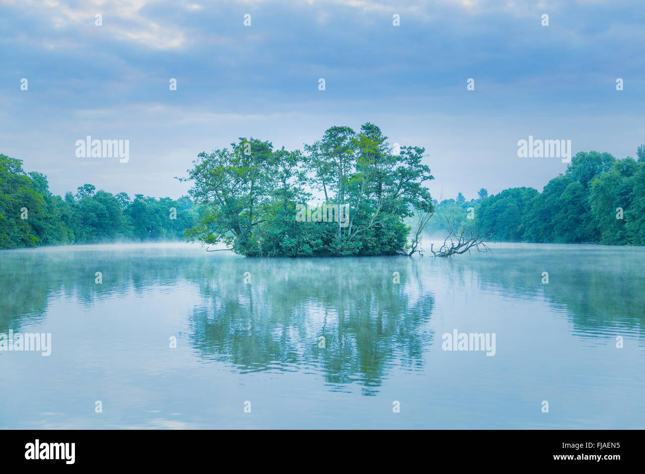 Willesley Lake, near Ashby de la Zouch Stock Photo - Alamy