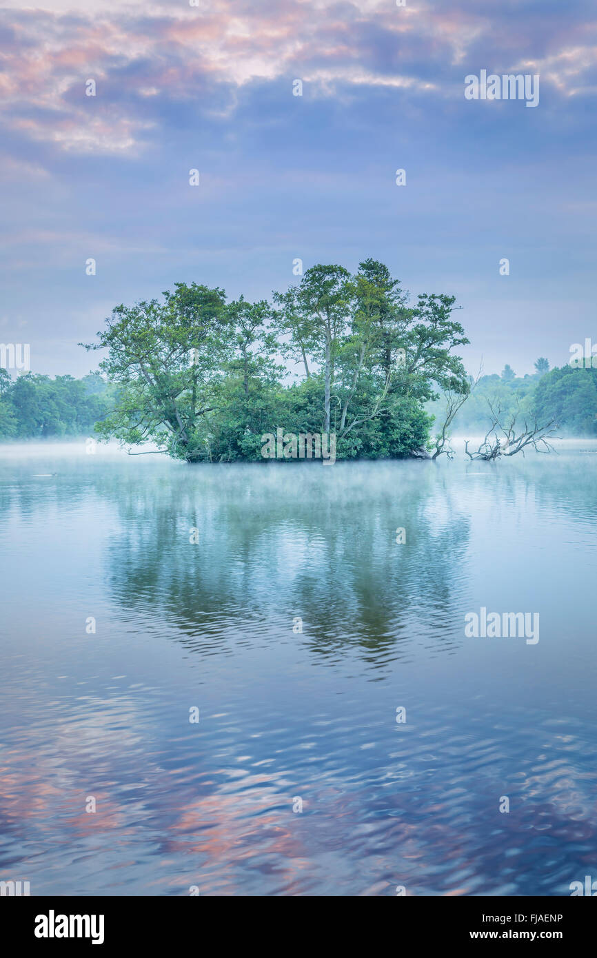 Willesley hi-res stock photography and images - Alamy