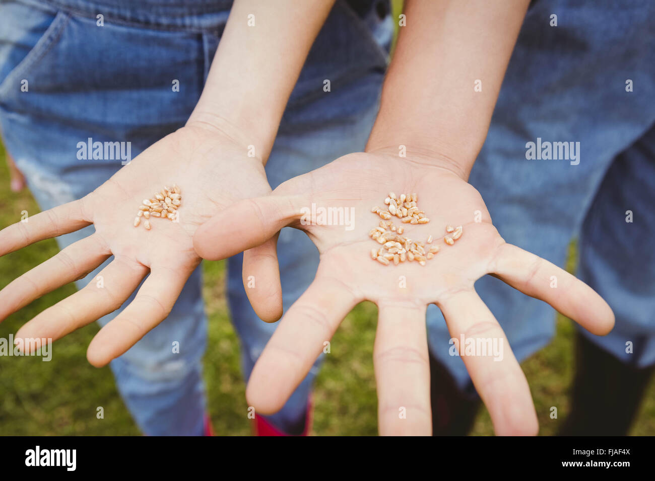 Hand holding plant seeds hi-res stock photography and images - Alamy