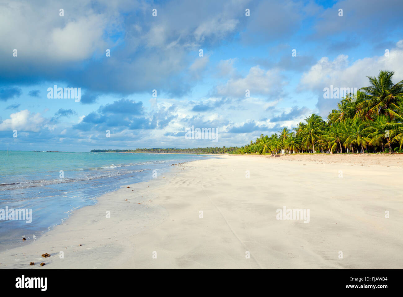 Brazil, Bahia, tropical beach Stock Photo - Alamy