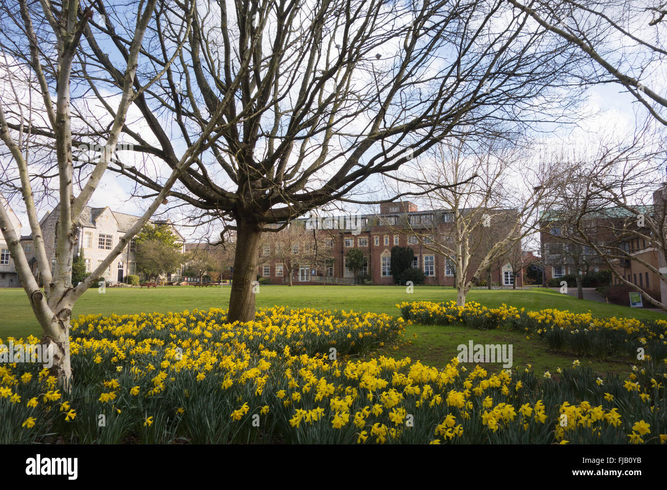 Exeter University St Luke's Campus - looking across the lawns of the ...