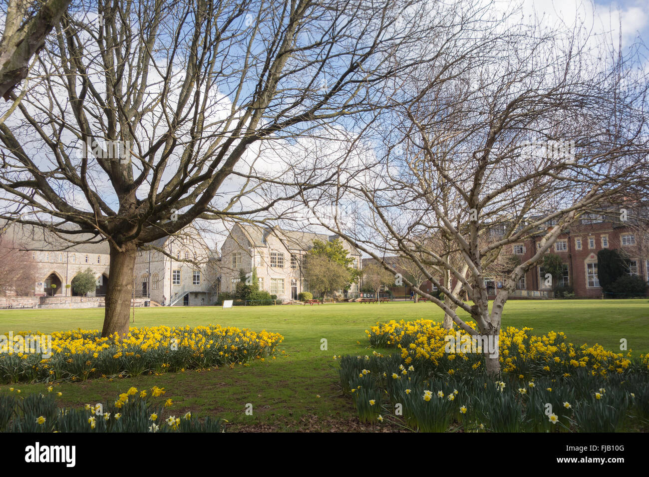 Exeter University Campus Map