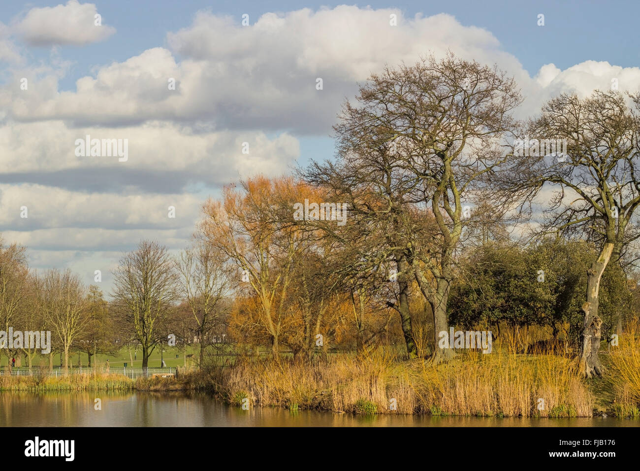 Pond clapham common hi-res stock photography and images - Alamy