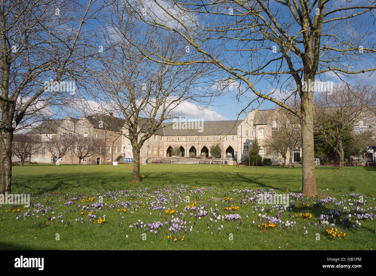 Exeter university sport hi-res stock photography and images - Alamy