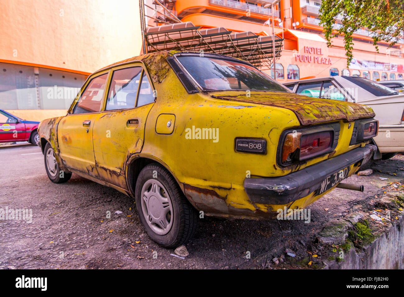 Yellow Mazoa at Malaysia Stock Photo - Alamy