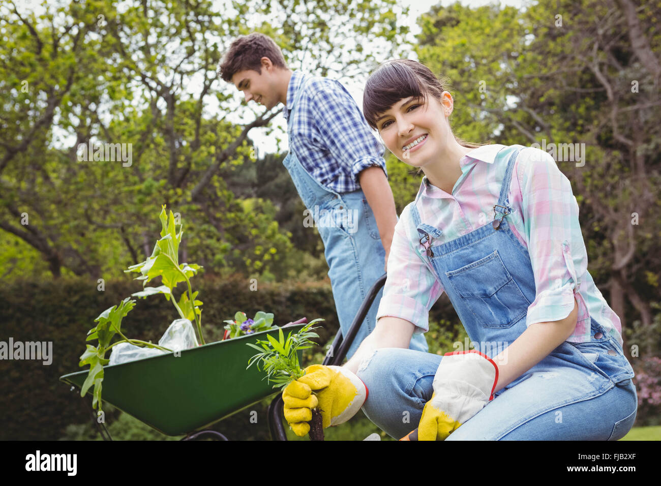 Young woman planting a sapling Stock Photo - Alamy