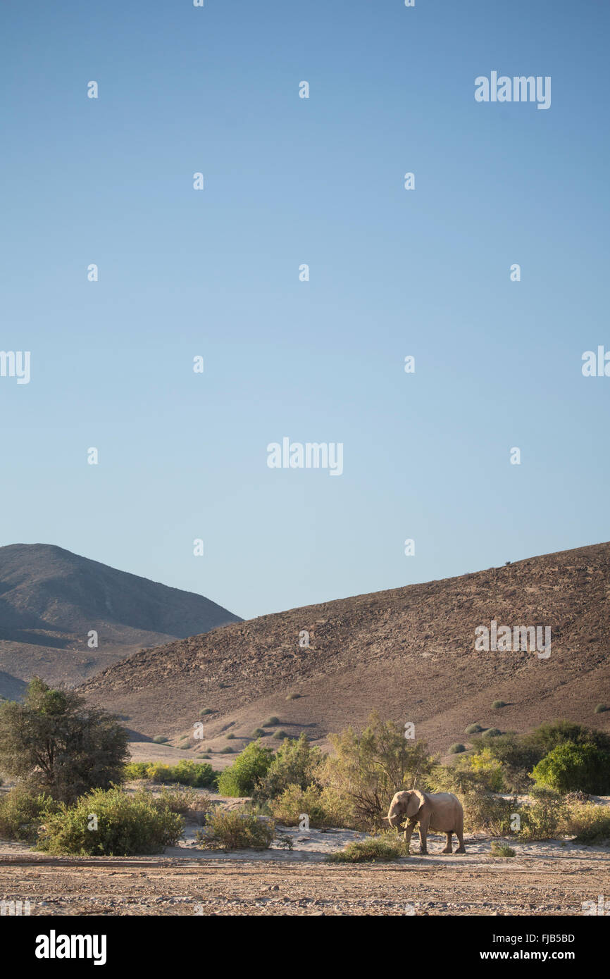 Sub saharan desert hi-res stock photography and images - Alamy