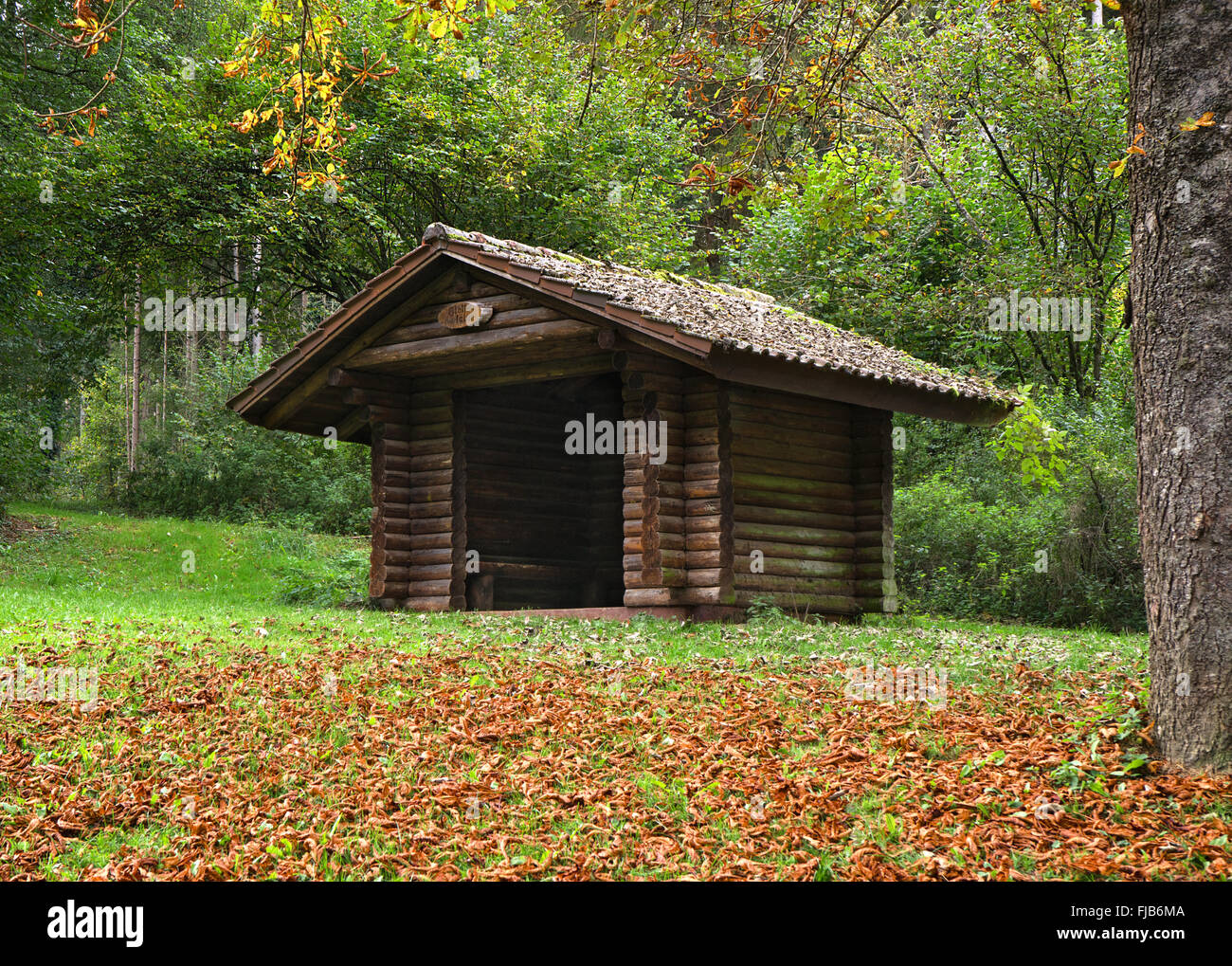 Wooden hut in the forest Stock Photo - Alamy