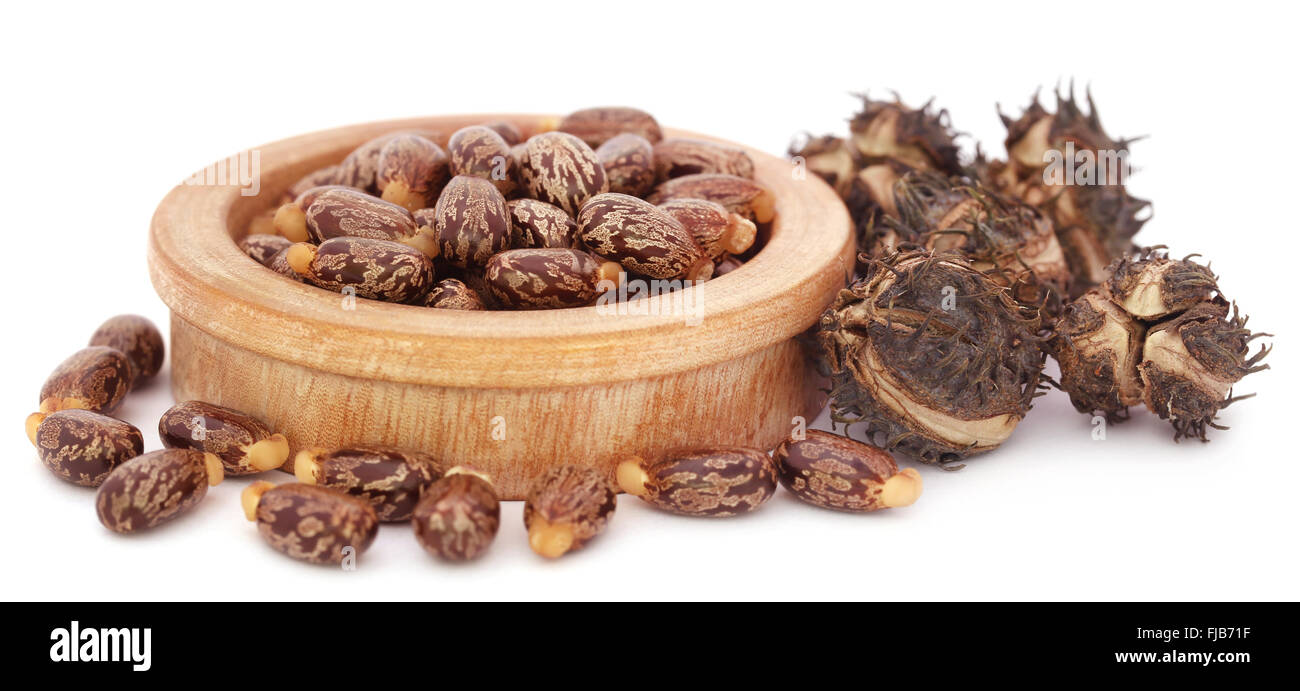 Castor beans in a wooden bowl over white background Stock Photo - Alamy