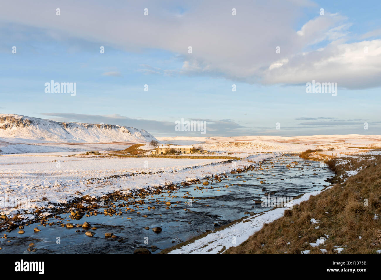 Harwood forest with river hi-res stock photography and images - Alamy