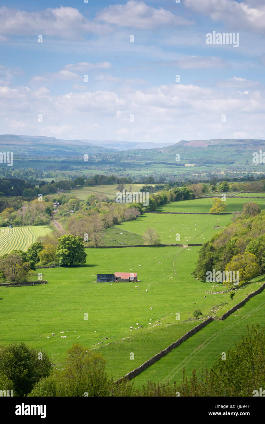 Leyburn yorkshire portrait hi-res stock photography and images - Alamy
