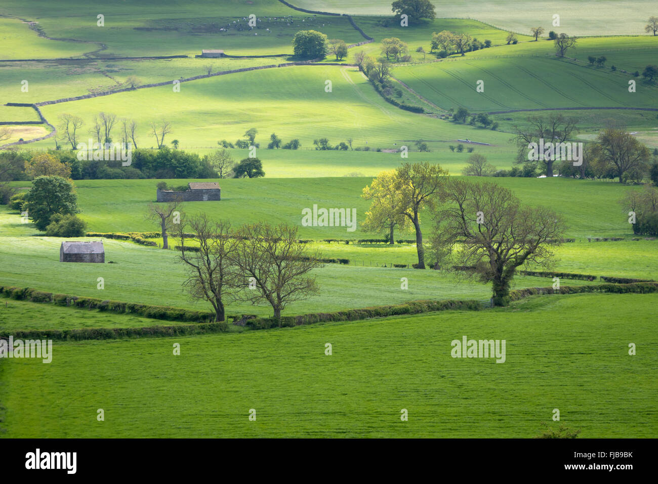 View over fields Leyburn Richmondshire North Yorkshire England Stock ...