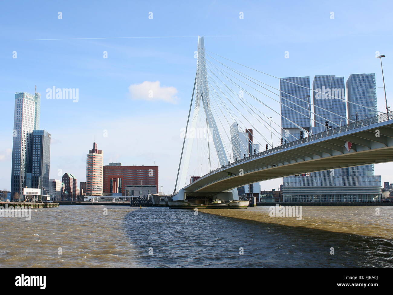Erasmus bridge, Rotterdam, flanked by Maastoren, highest Dutch ...