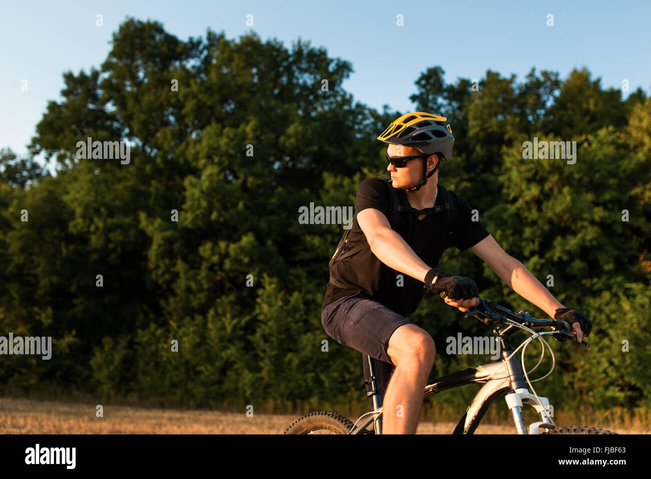 Rider on Mountain Bicycle it the forest Stock Photo - Alamy