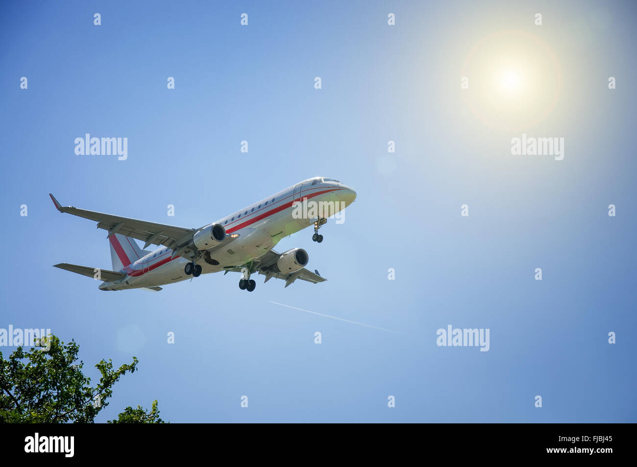 Airplane sky tree hi-res stock photography and images - Alamy