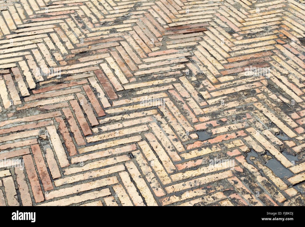 Fish bone structure hi-res stock photography and images - Alamy