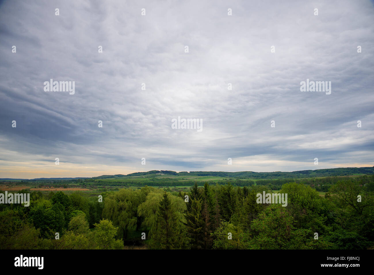 Grass landscapes hi-res stock photography and images - Alamy