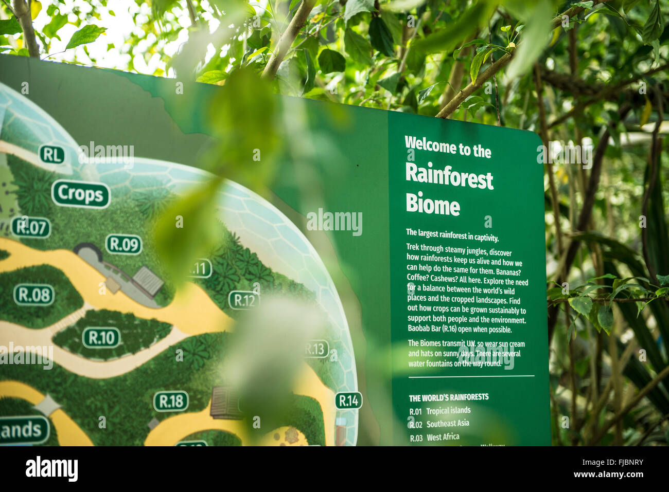 Rainforest map hi-res stock photography and images - Alamy