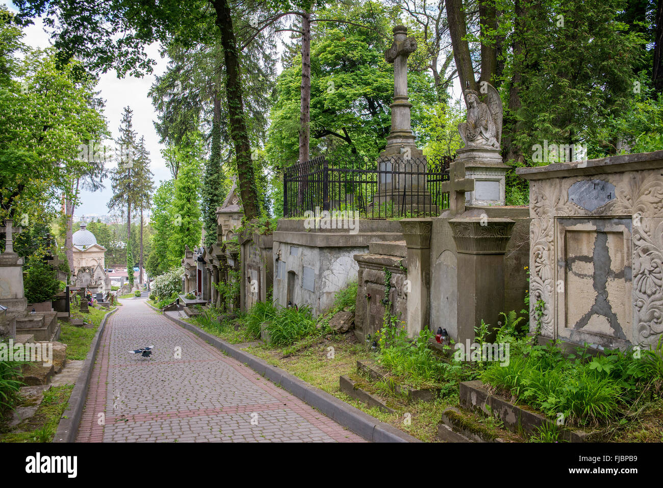 Tomb cemetery hi-res stock photography and images - Alamy