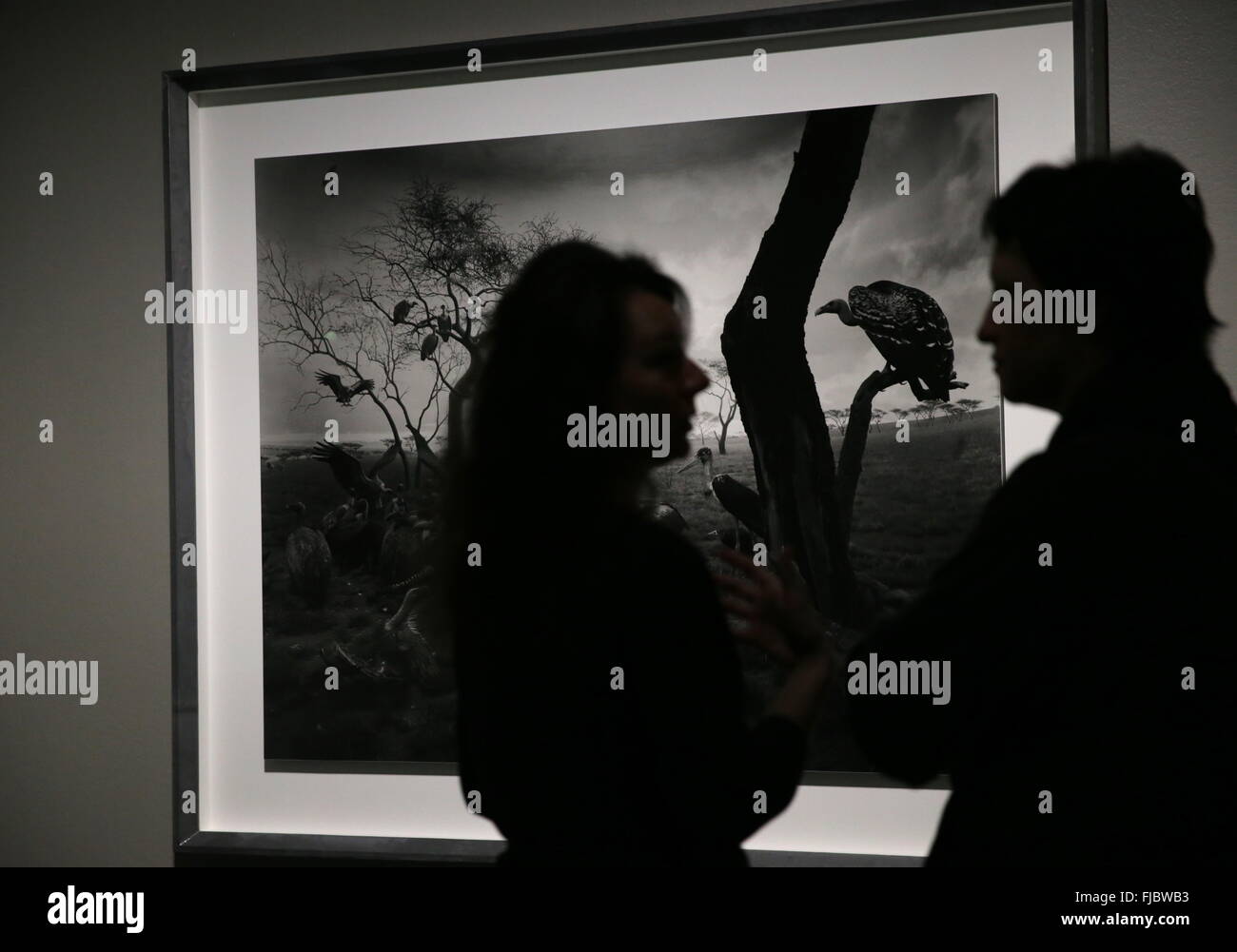 1980 Exhibition High Resolution Stock Photography and Images - Alamy