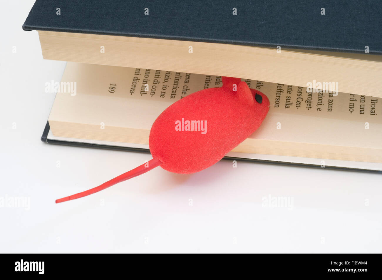 Hiding mouse hi-res stock photography and images - Alamy