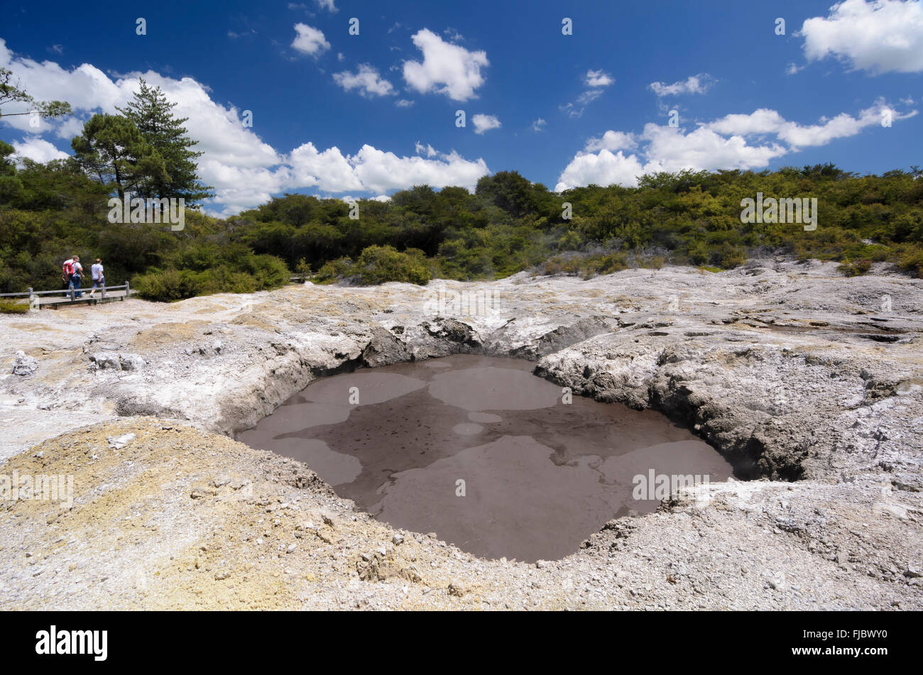 Devil's Ink Pots, mud pool, Waiotapu, Rotorua, North Island, New ...