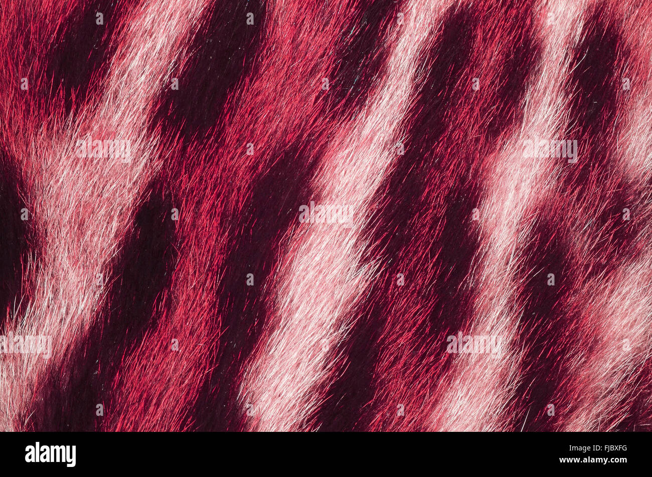 tiger fur with artificial colors Stock Photo - Alamy