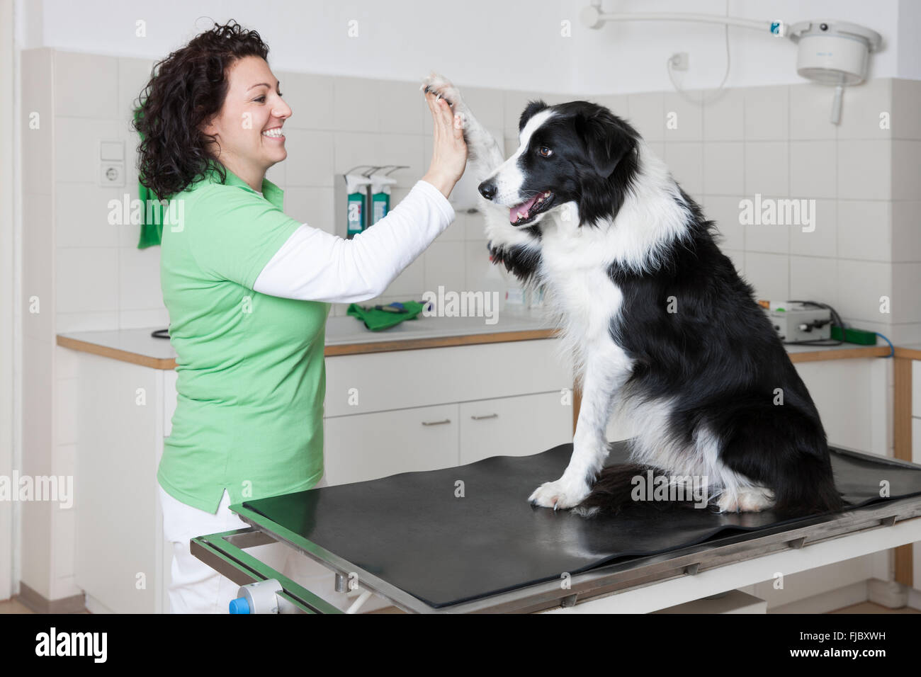 Veterinarian, female vet doing a High Five with dog, Give me Five ...