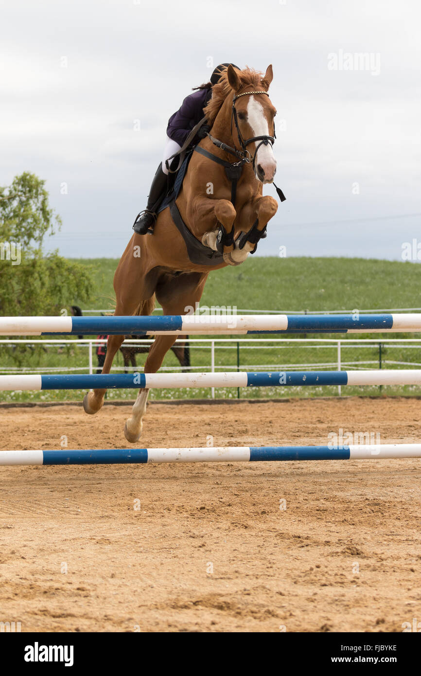 Closeup front view of horsewoman on a light brown horse horse with ...