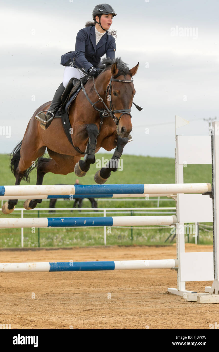 Front view of young horsewoman in high jump over a obstacle Stock Photo ...