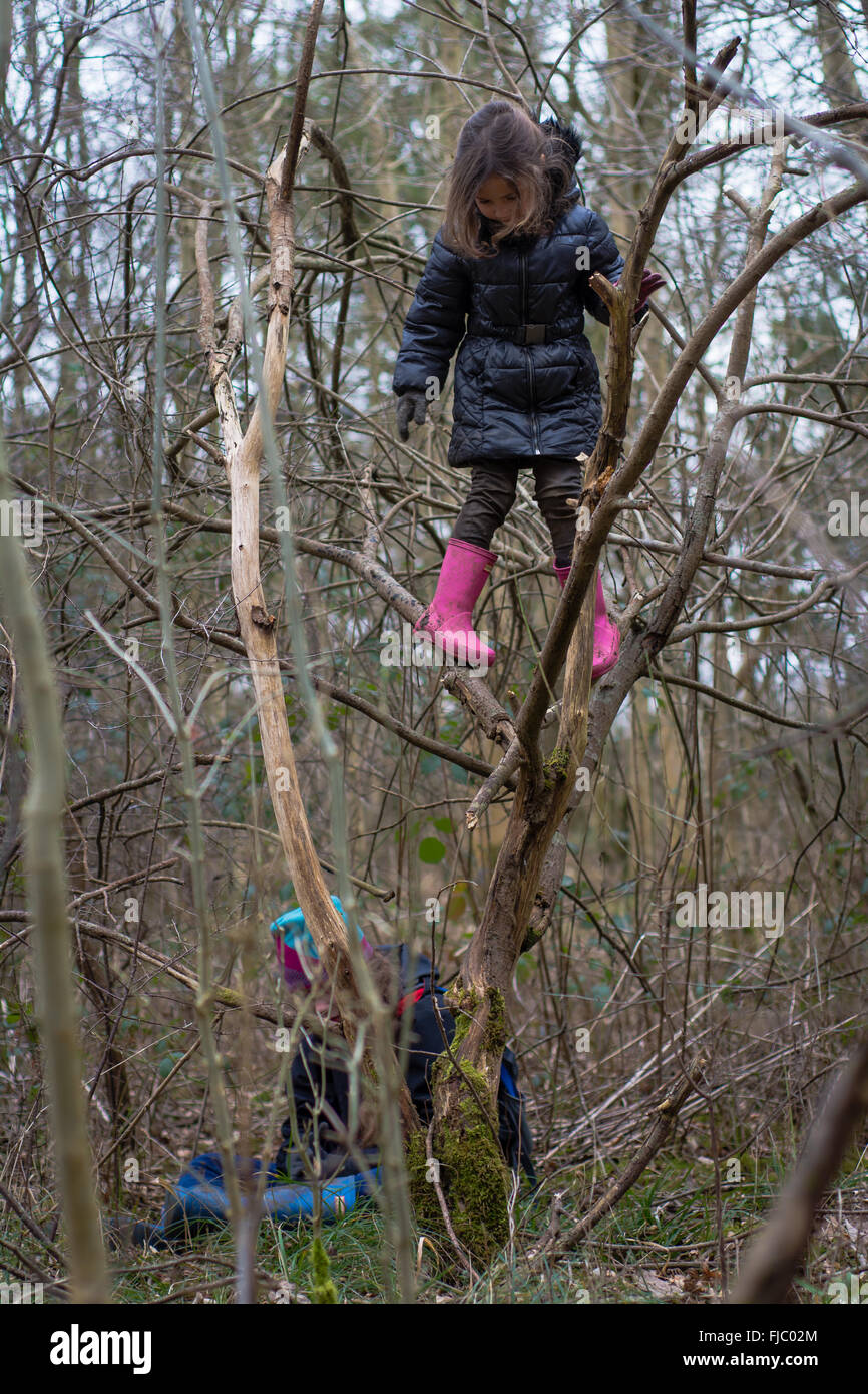 Girl sitting on tree in forest hi-res stock photography and images - Alamy