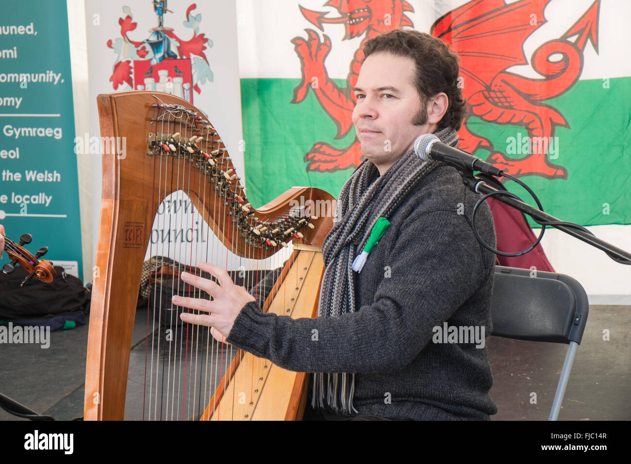 Playing Welsh harp on stage at Guildhall Square for a Saint David's Day ...