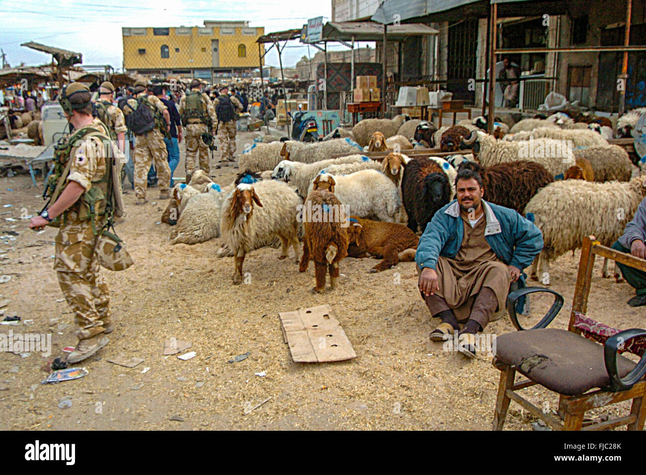Sheep in desert iraq hi-res stock photography and images - Alamy