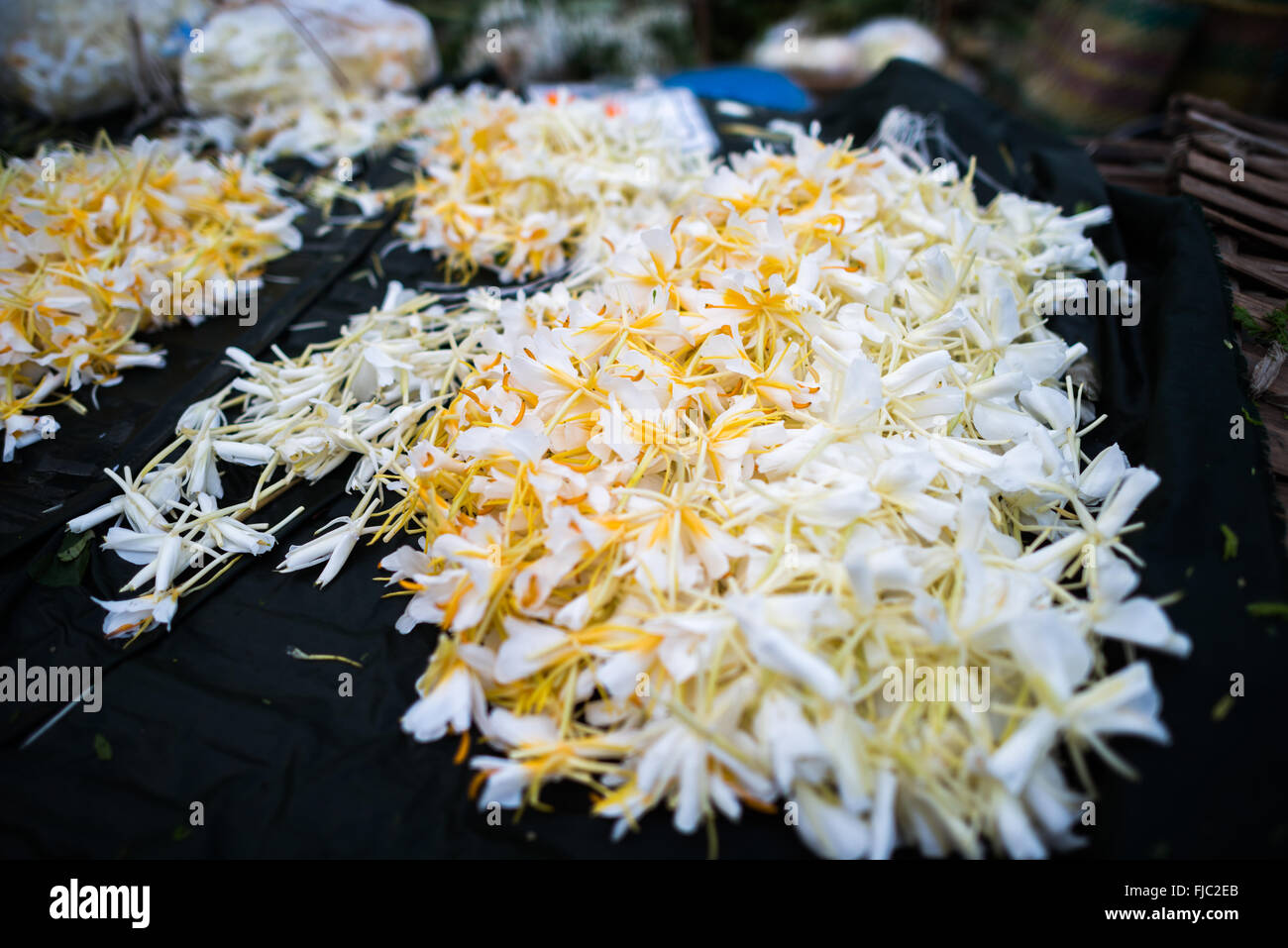 Traditional myanmar culture hi-res stock photography and images - Alamy